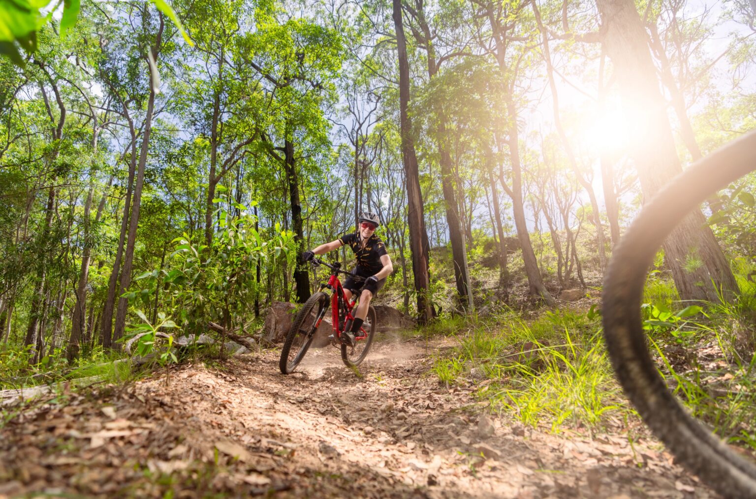 Bike riding in Logan - Explore Logan