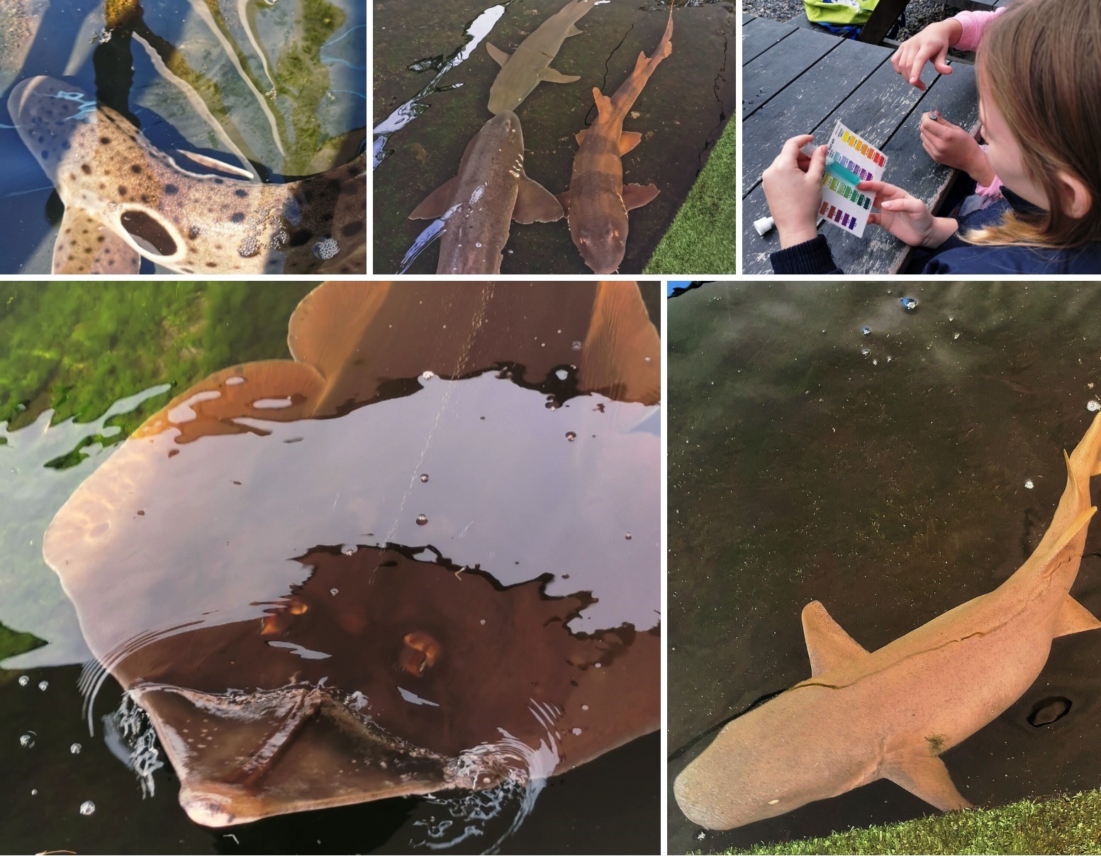 10 Things to do near me - Explore Logan